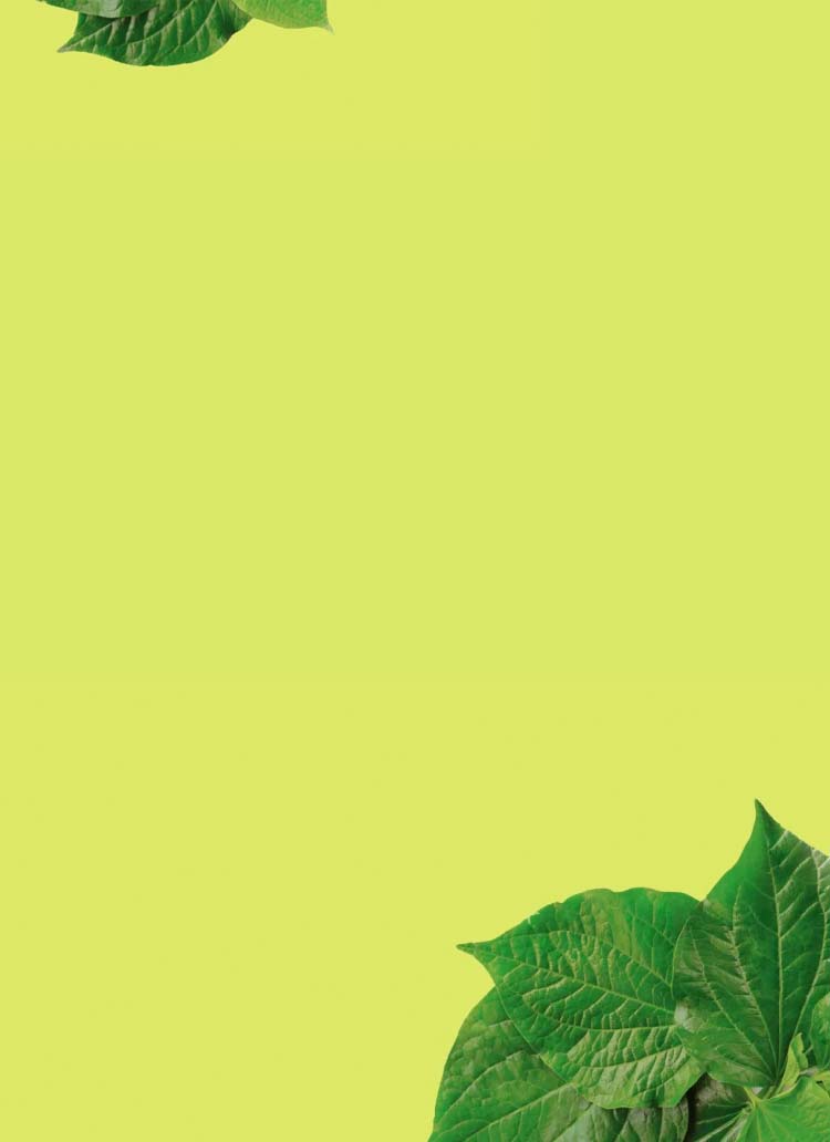 What is Kava? – Calming Co. What is Kava? – Calming Co.